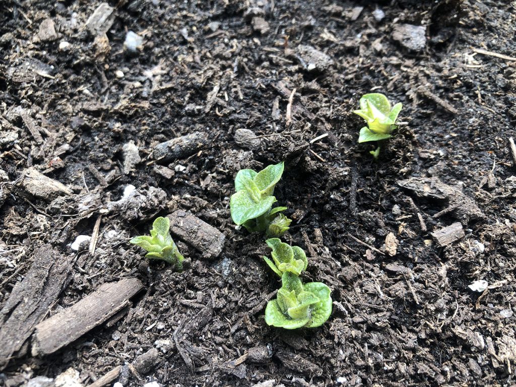 Life in New Normal - MINA makeup artist