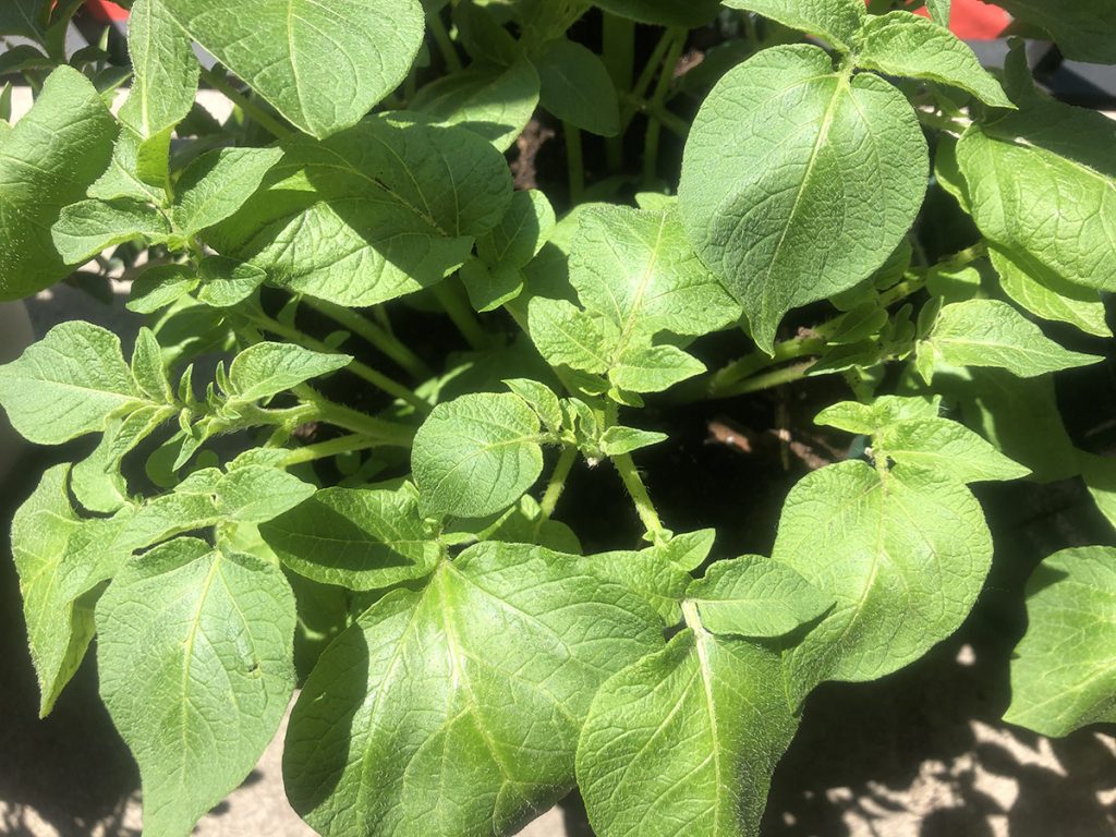 Life in New Normal - MINA makeup artist